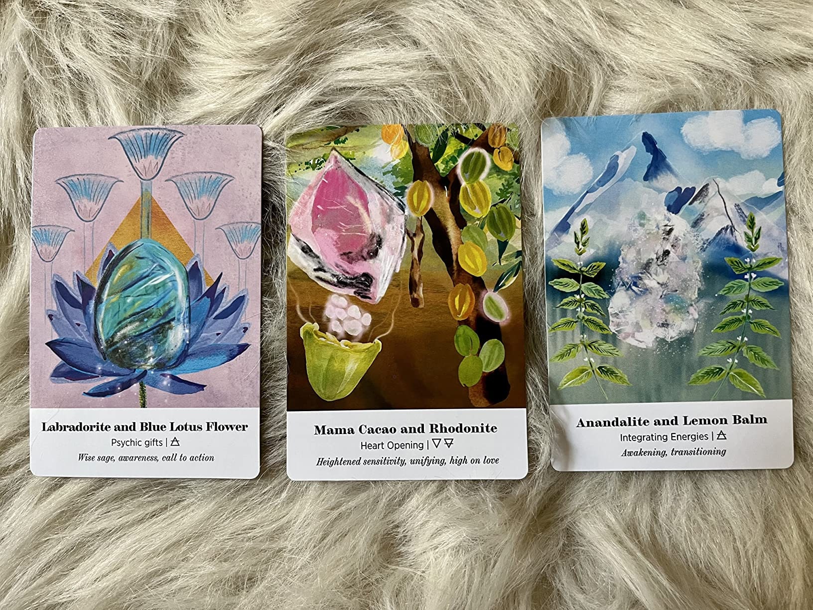 Earth Alchemy Oracle Card Deck: Connect to the Wisdom and Beauty of the ...