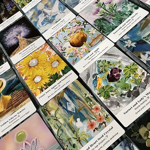 Earth Alchemy Oracle Card Deck: Connect to the Wisdom and Beauty of the ...