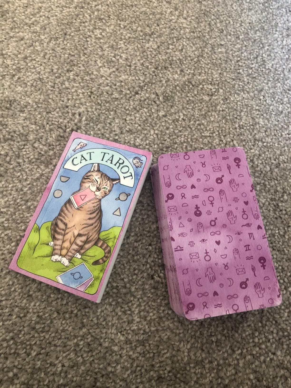 Cat Tarot: 78 Cards & Guidebook whimsical and Humorous Tarot Deck ...