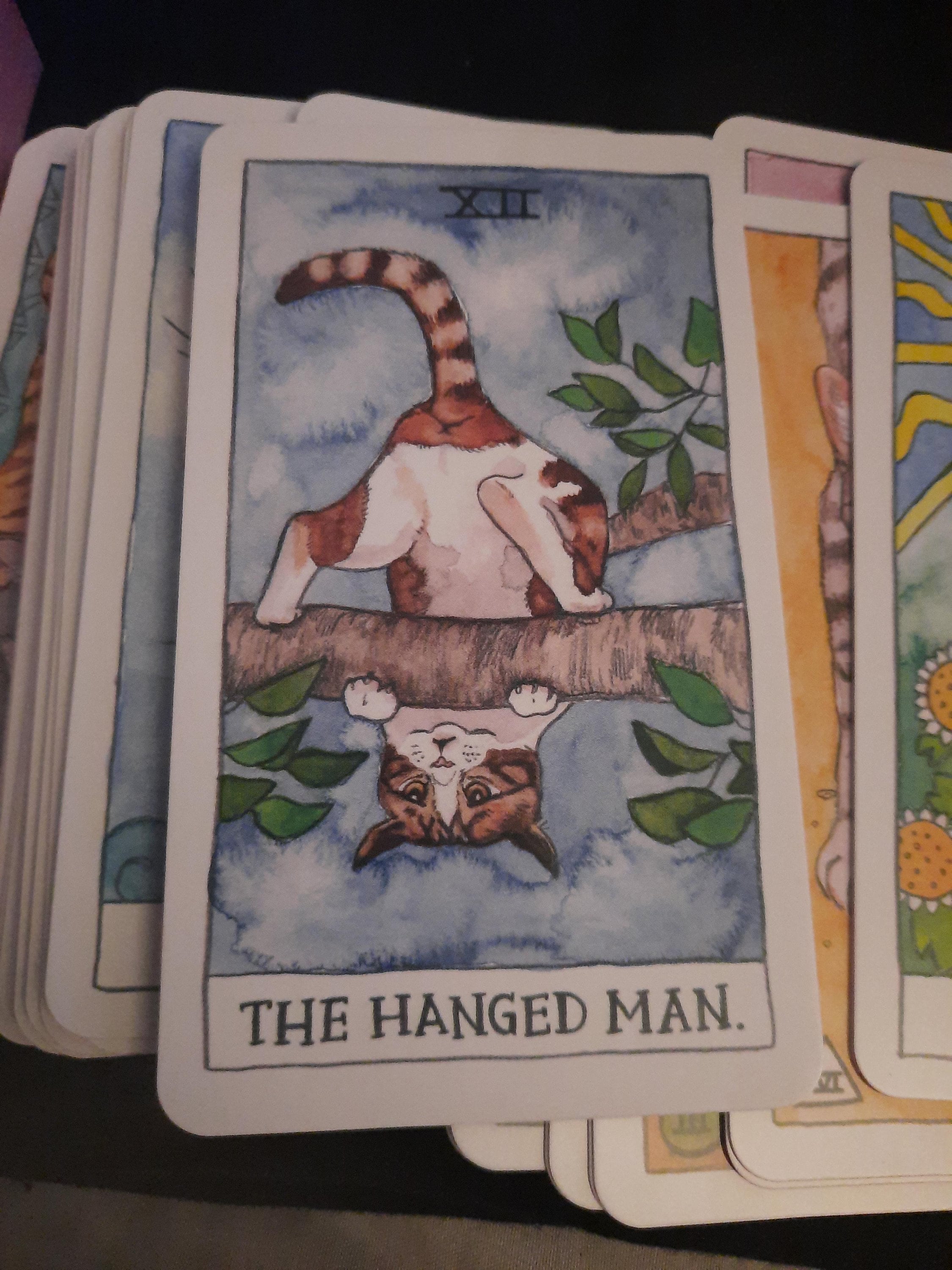 Cat Tarot: 78 Cards & Guidebook whimsical and Humorous Tarot Deck ...