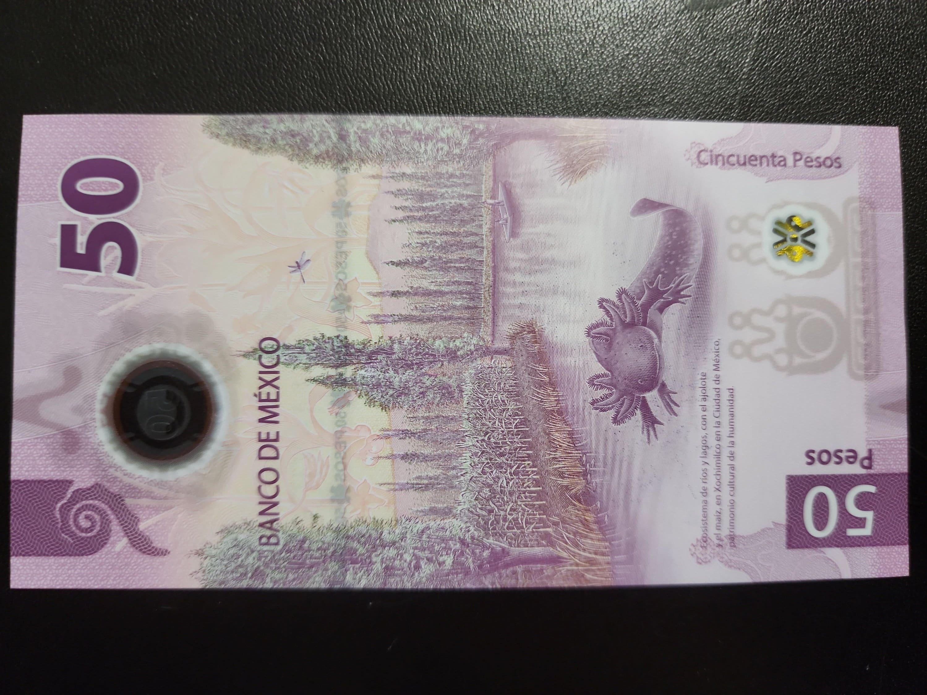 Mexican Banknote of 50 Pesos From Ajolotito New in Perfect Condition. Collection Ticket. Historical. Axolotl. Mexico 1 Piece Etsy Ireland