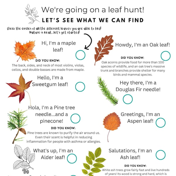 Shop Leaf Identification Print Online - Etsy
