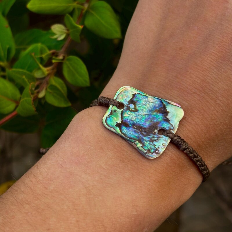 Paua Shell Kiwi - Etsy New Zealand