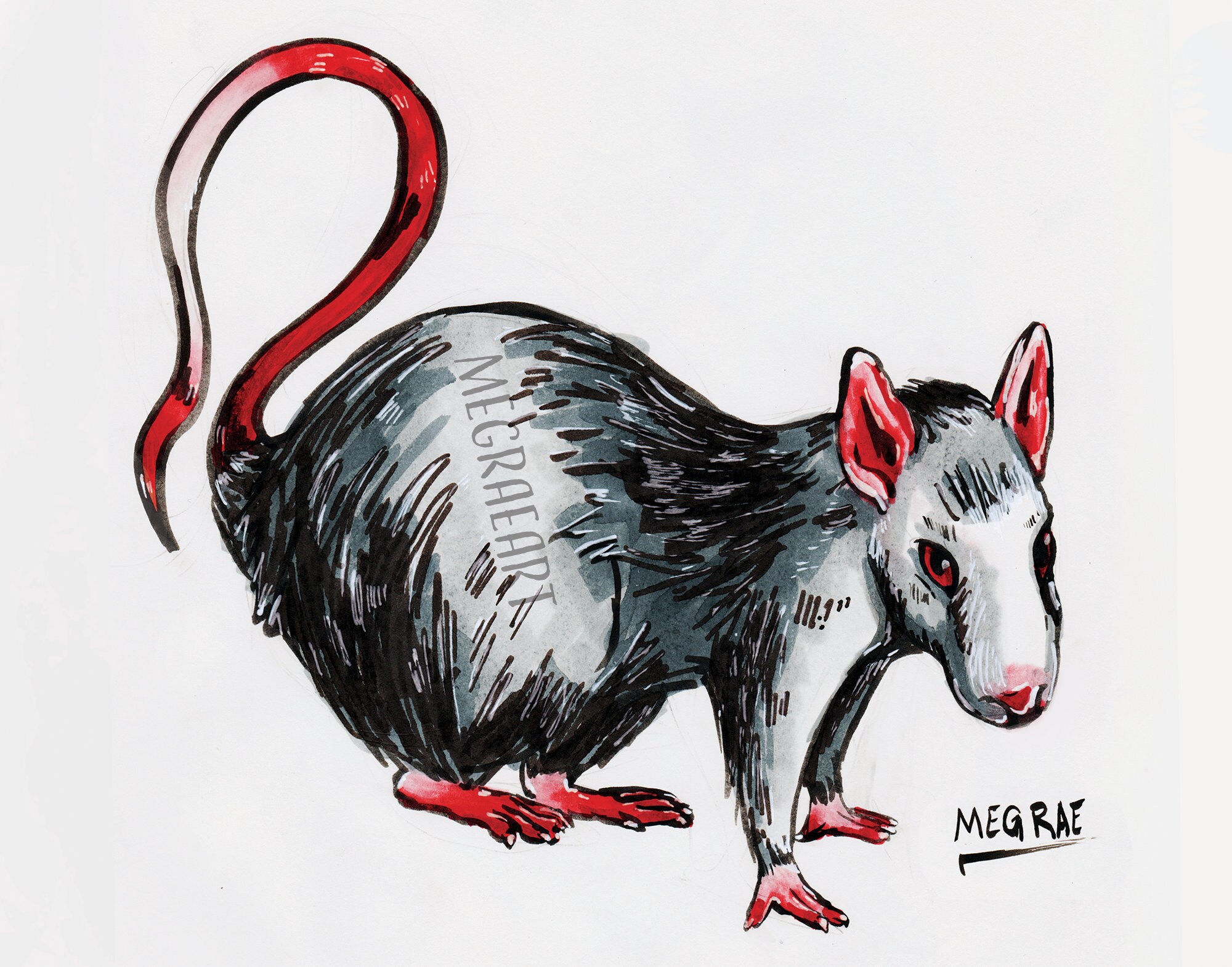 Rata Art Print Ink Marker Drawing Print 11x14 Black Rat | Etsy