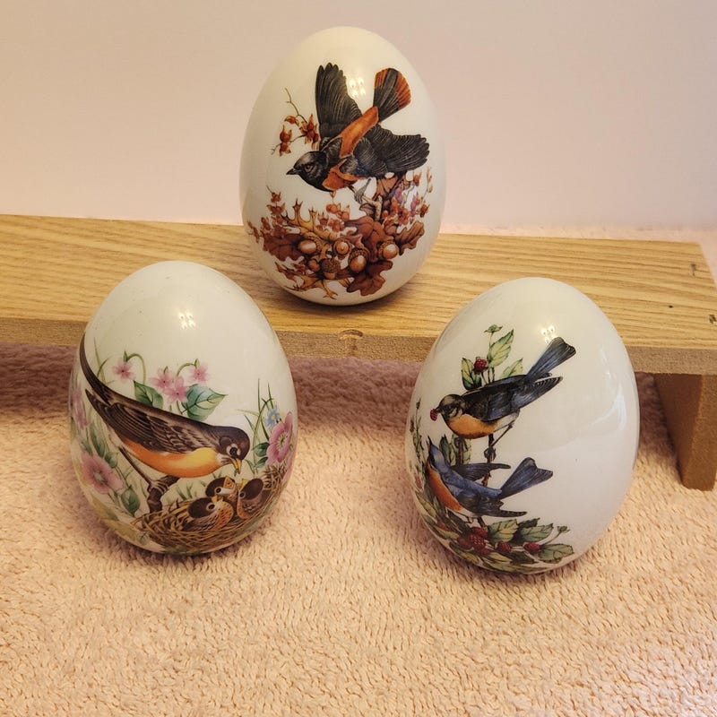 Decorative Bird Eggs - Etsy