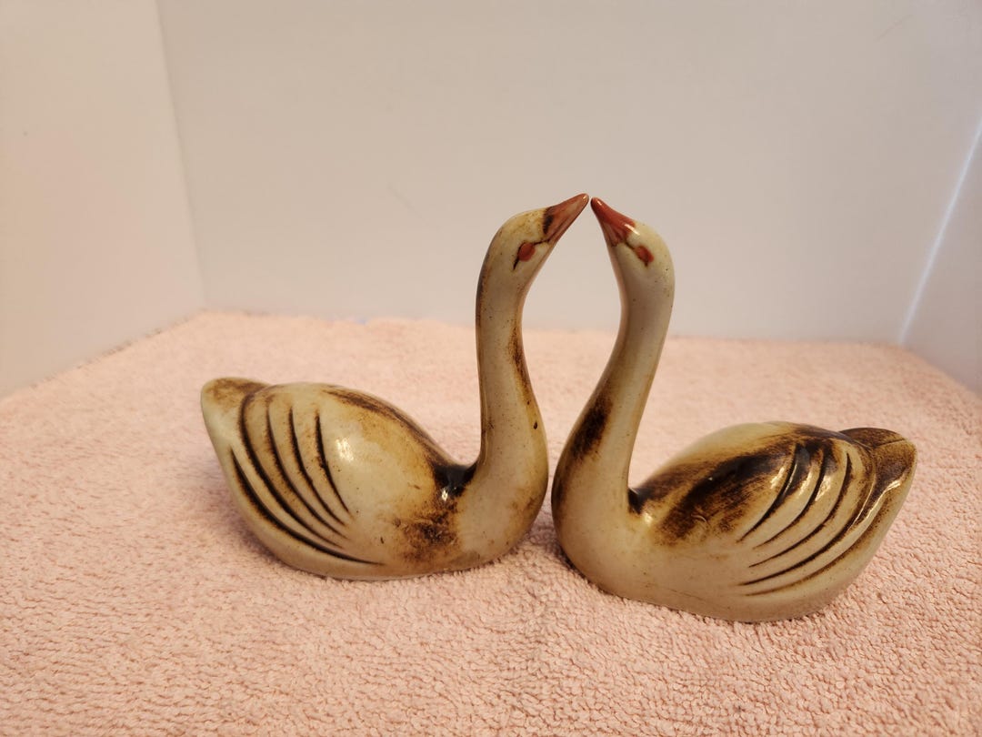 Brazilian Geese Set of 2 Handpainted MCM Ceramic Bird Kitsch 1950's ...