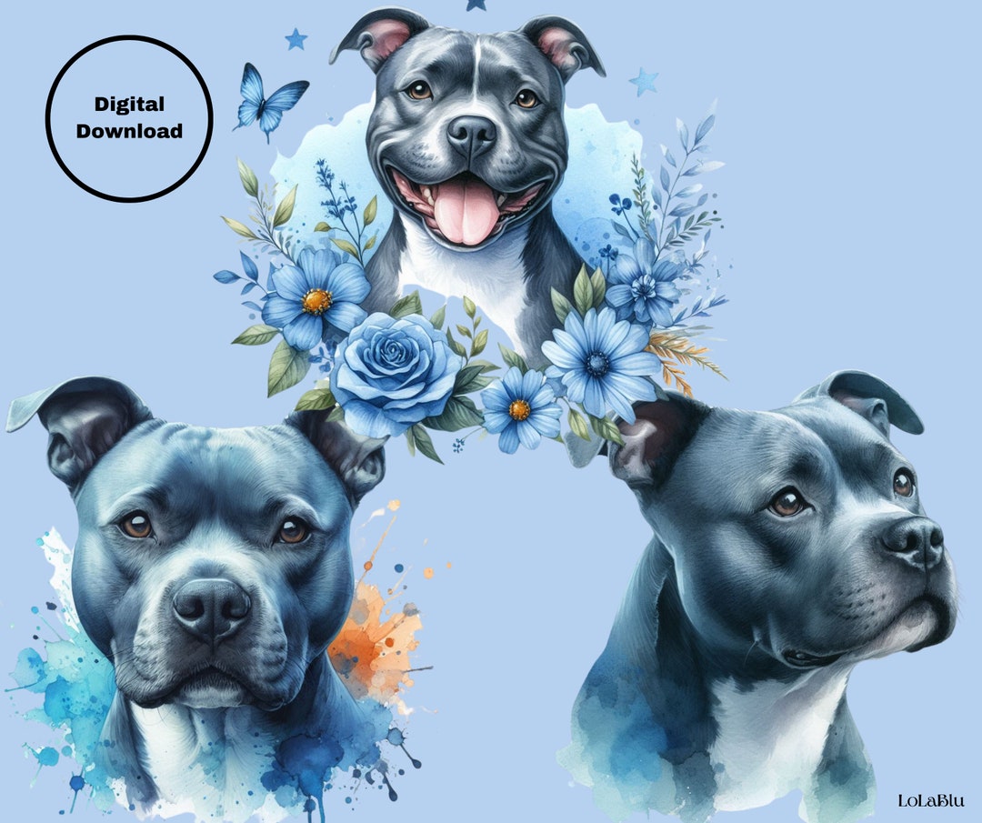 Blue Staffy, Clip Art, Sublimation Dog, Instant Download, Dog Clip Art ...