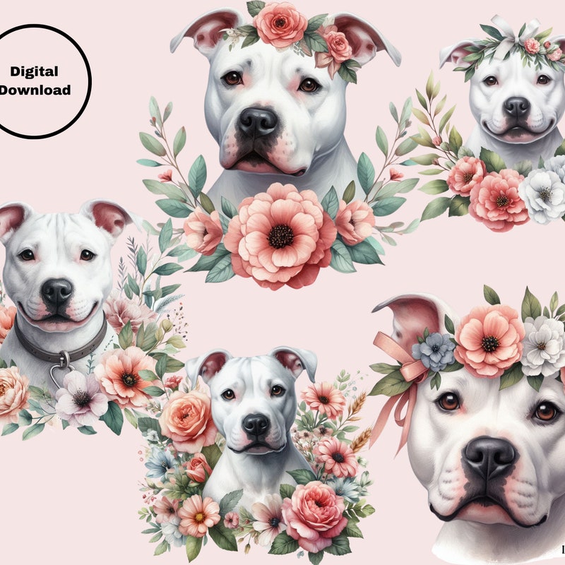 Staffy - Etsy