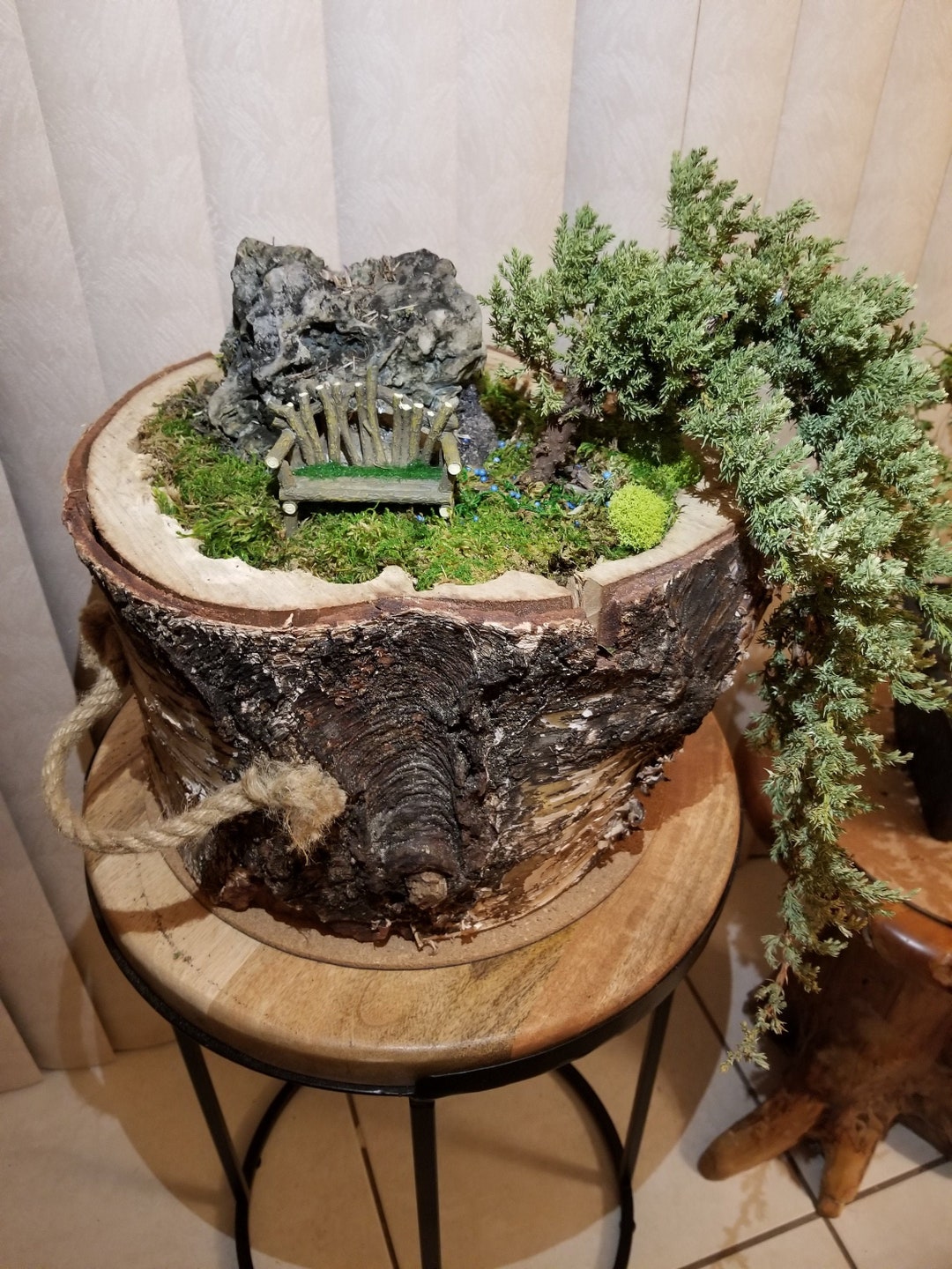 Oasis Garden Bonsai With Wooden Bench - Etsy