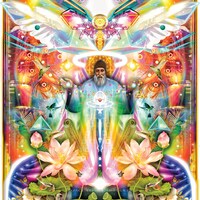 Shaman Poster - Etsy