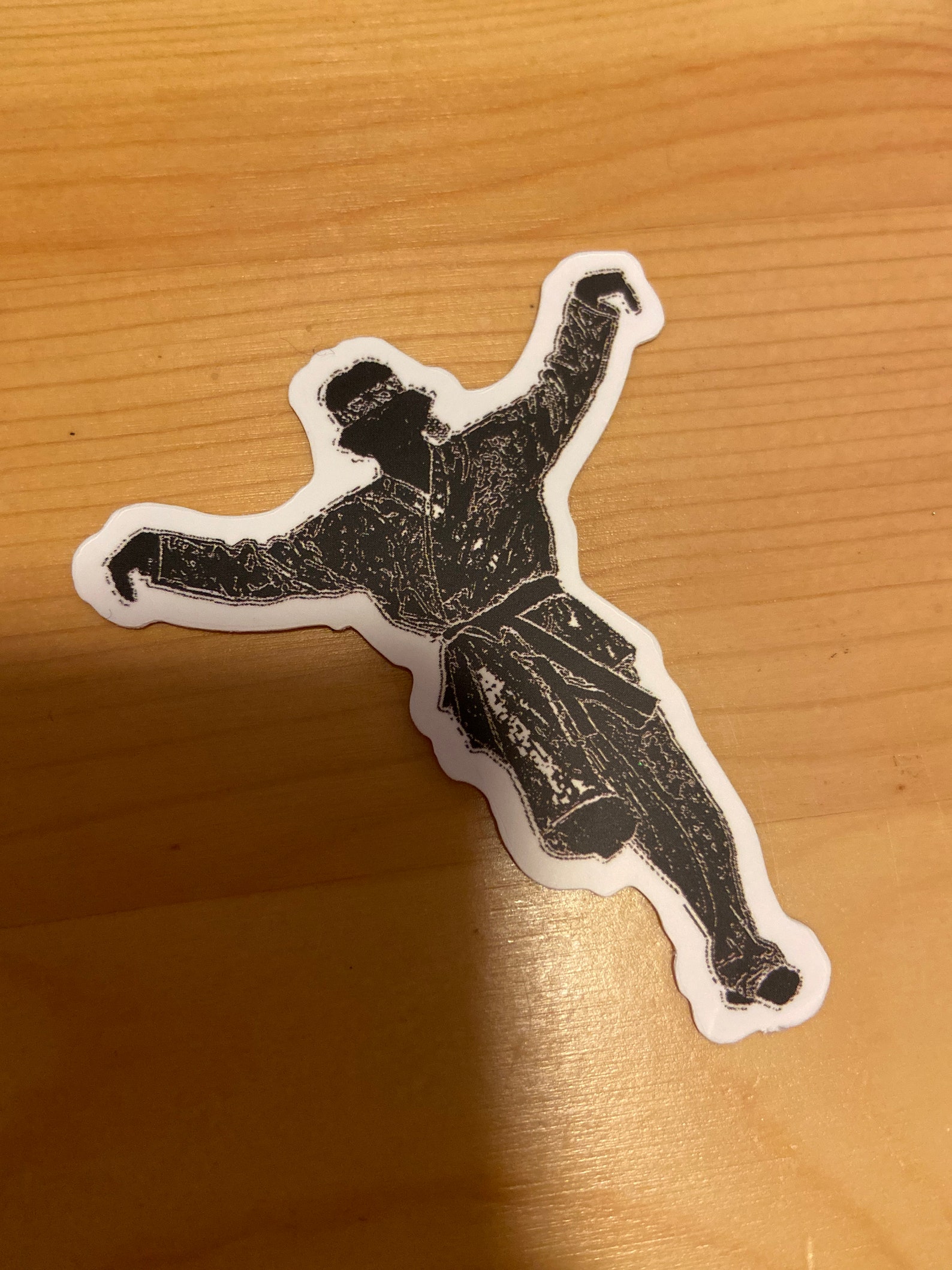 Karate Kid Daniel Larusso Cobra Kai Crane Kick Vinyl Sticker - Etsy