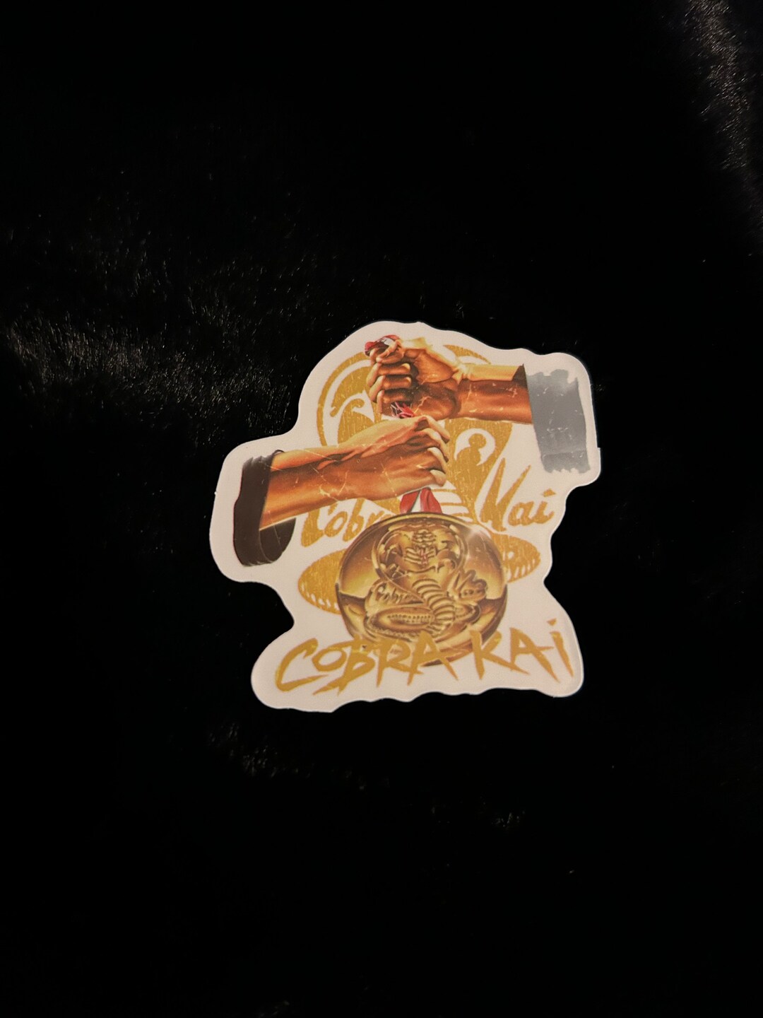 Cobra Kai Dojo Competition Gold Medal Hand Out Cobra Kai Vs Miyagi Do ...