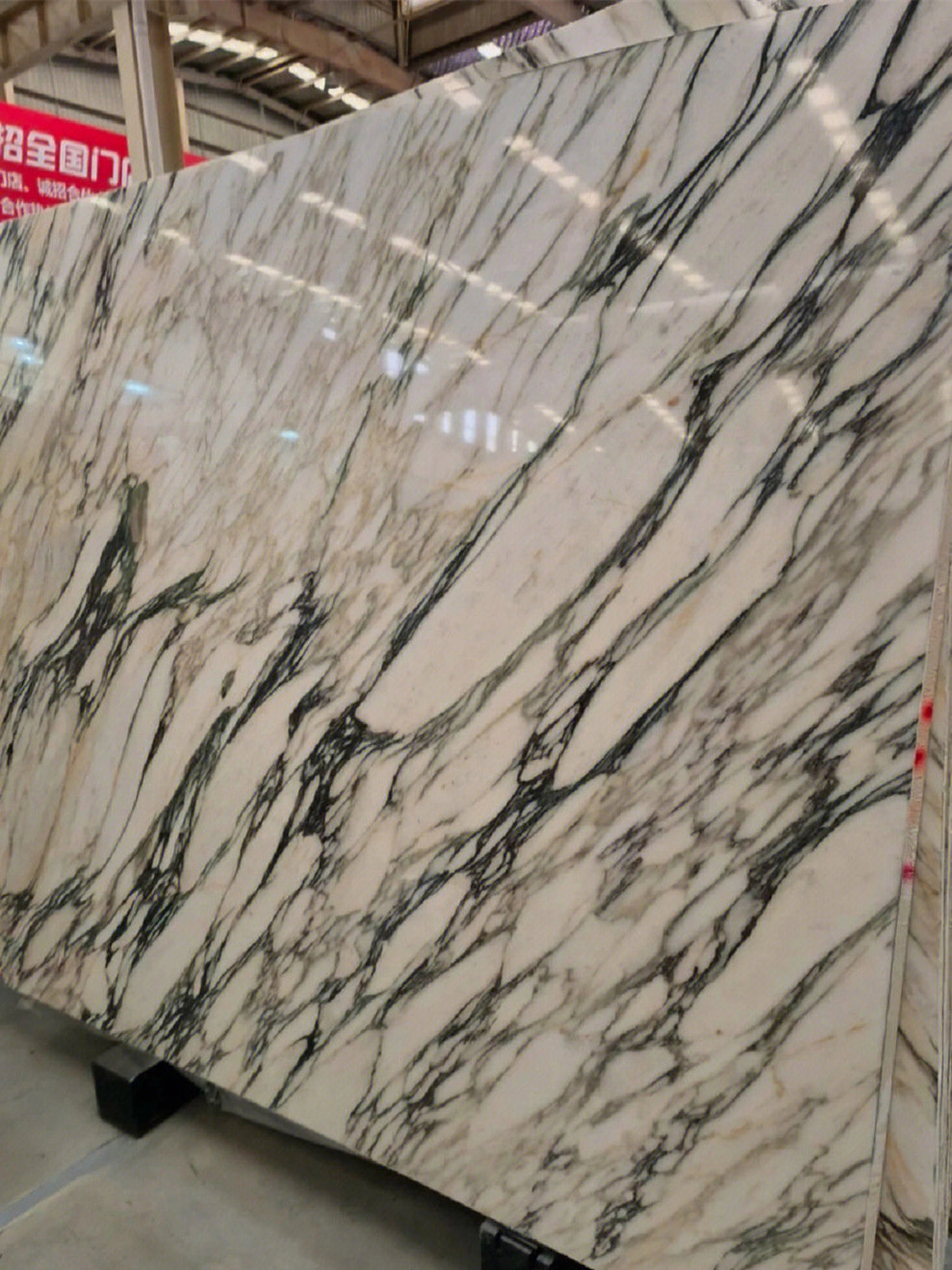 Calacatta Viola Marble Coffee Table, Marble Side Table, Natural Stone ...
