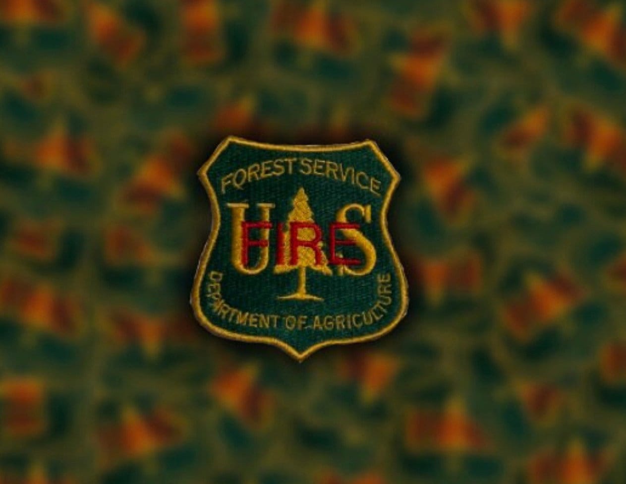 US Forest Service FIRE Embroidery Patch - Etsy