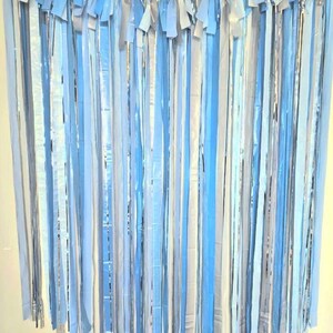Blue Fringe Backdrop: Boy Birthday Party Photo Decor - Etsy