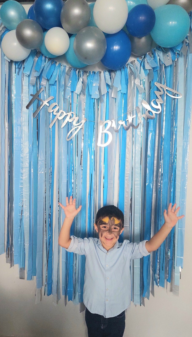 Blue Fringe Backdrop: Boy Birthday Party Photo Decor - Etsy