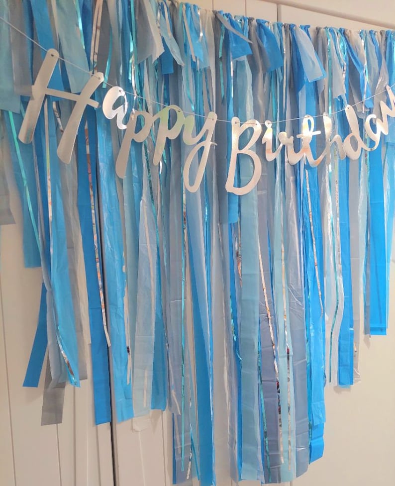 Fringe Backdrop Blue Ombre Backdrop Plastic Streamers Decor - Etsy
