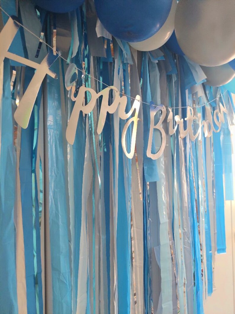 Fringe Backdrop Blue Ombre Backdrop Plastic Streamers Decor - Etsy