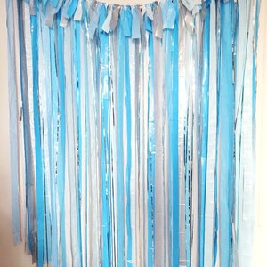 Blue Fringe Backdrop, Fringe Party Decor, Boy Birthday, Party Photo ...