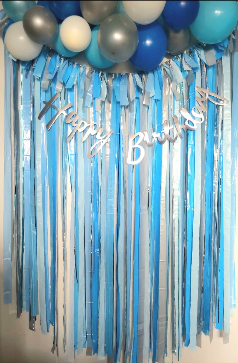 Blue Fringe Backdrop: Boy Birthday Party Photo Decor - Etsy