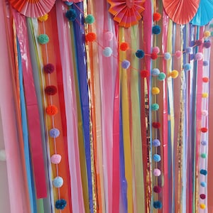 Fiesta Fringe Backdrop, Birthday Party Streamers, Mexcian Party ...
