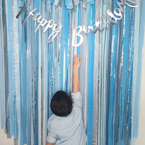 Blue Fringe Backdrop: Boy Birthday Party Photo Decor - Etsy