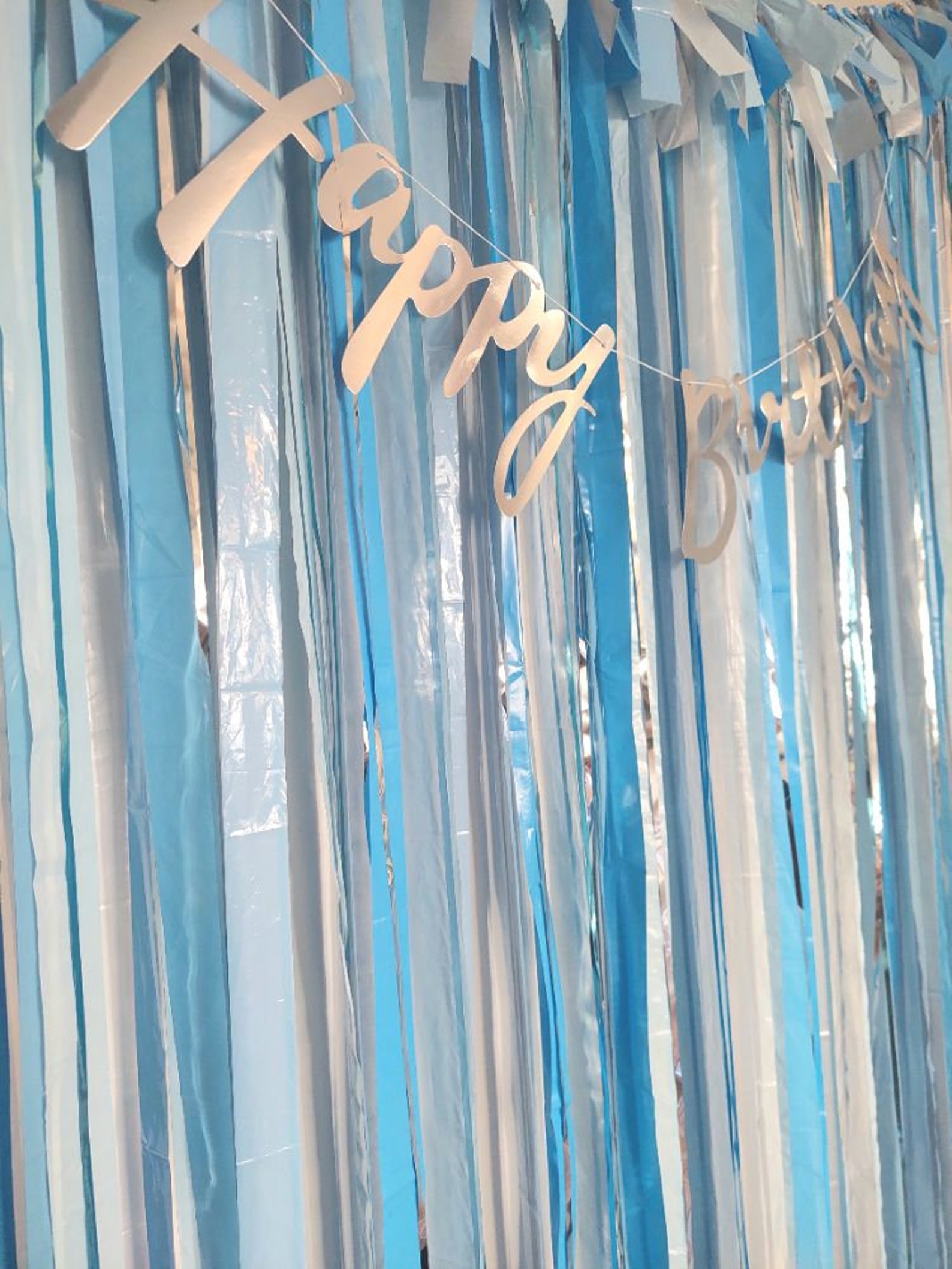 Blue Fringe Backdrop: Boy Birthday Party Photo Decor - Etsy