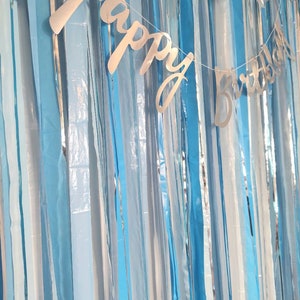 Blue Fringe Backdrop, Fringe Party Decor, Boy Birthday, Party Photo ...