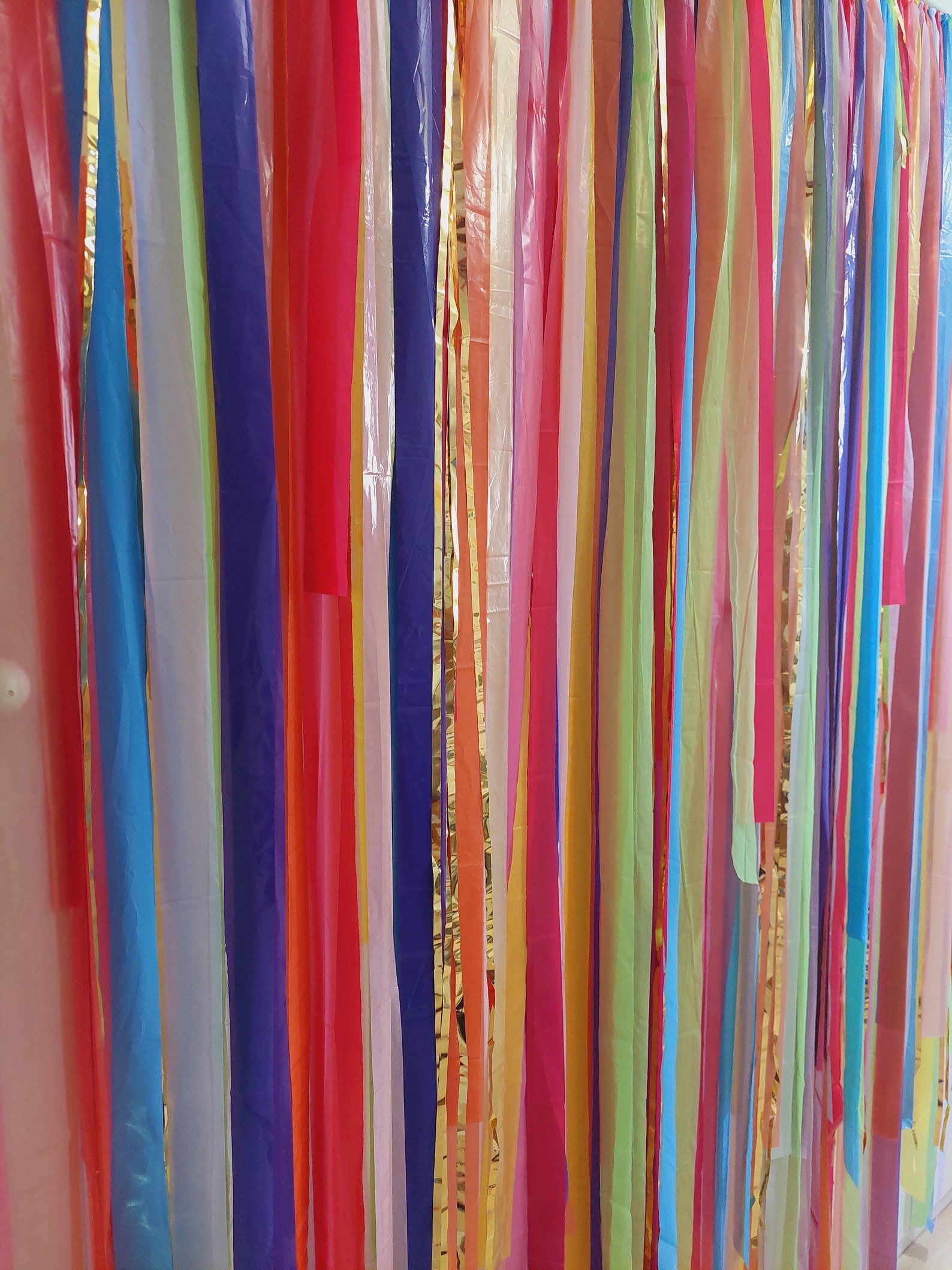 Fiesta Fringe Backdrop, Birthday Party Streamers, Mexcian Party ...