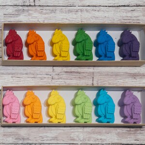 Parrot Crayon Gift Set, Party Favor, Tropical Bird Birthday Party, Kids ...