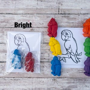 Parrot Crayon Gift Set, Party Favor, Tropical Bird Birthday Party, Kids ...