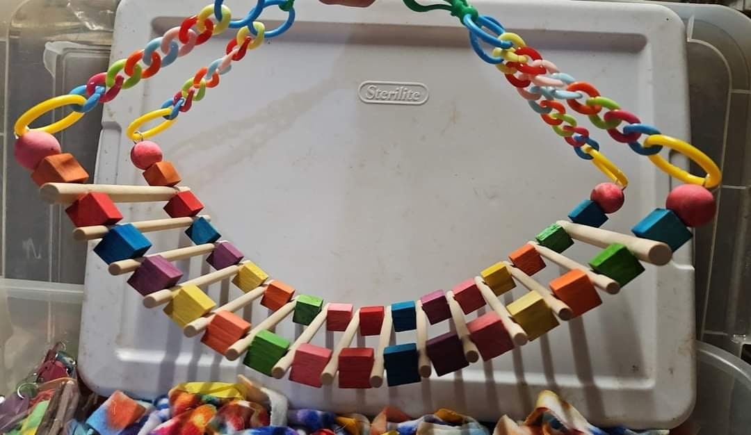 Colorful Bridge for Small Animals (rats, Chinchillas) - Etsy