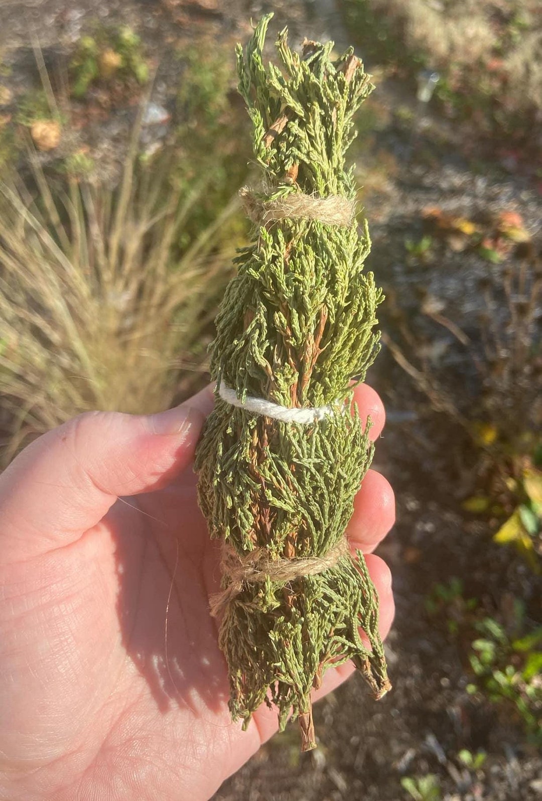 Juniper & Lavender Burning Bundle - Etsy