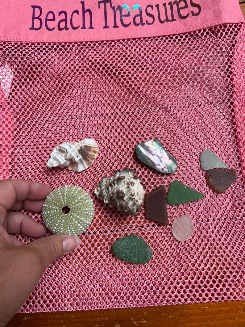 Beach Treasures Seashell Pocket Mesh Bag = Rock Collecting Bag = Shell ...