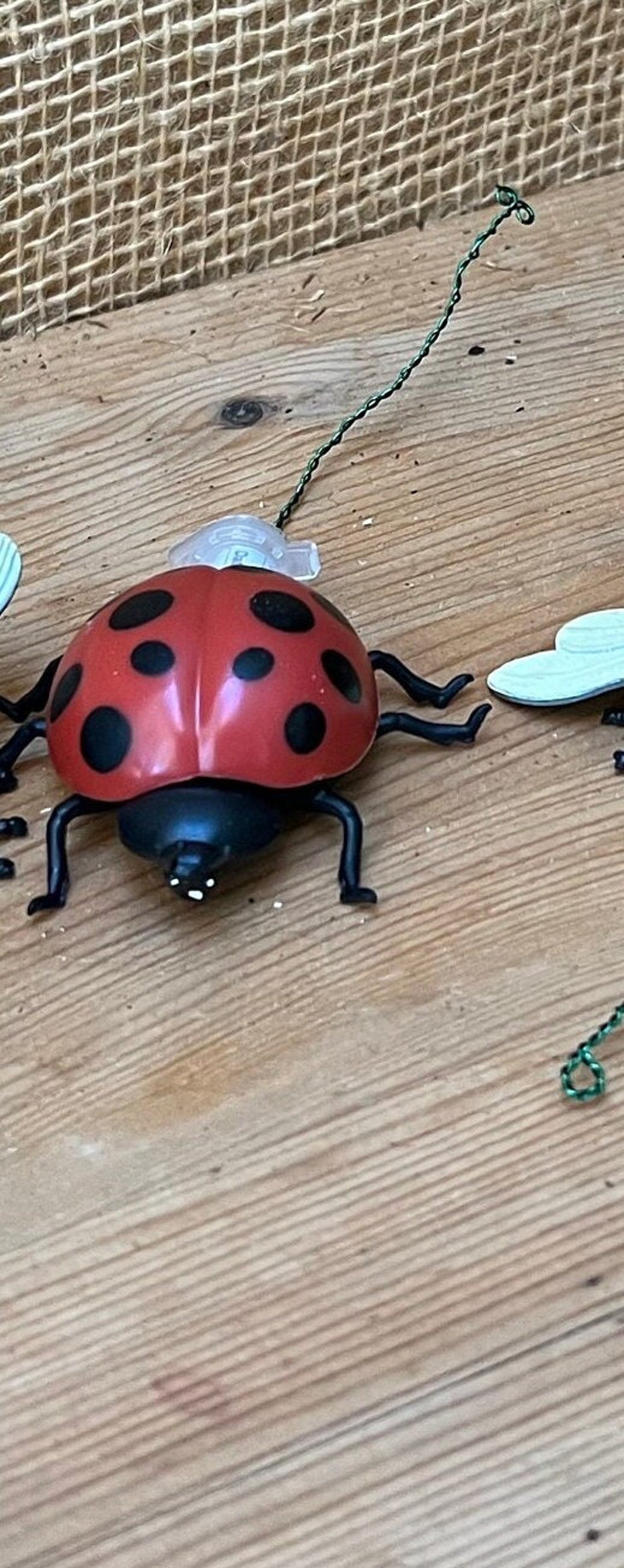 Geocache BUG INSECT - Lady Bug - Caching Container Hide & Seek Cache ...