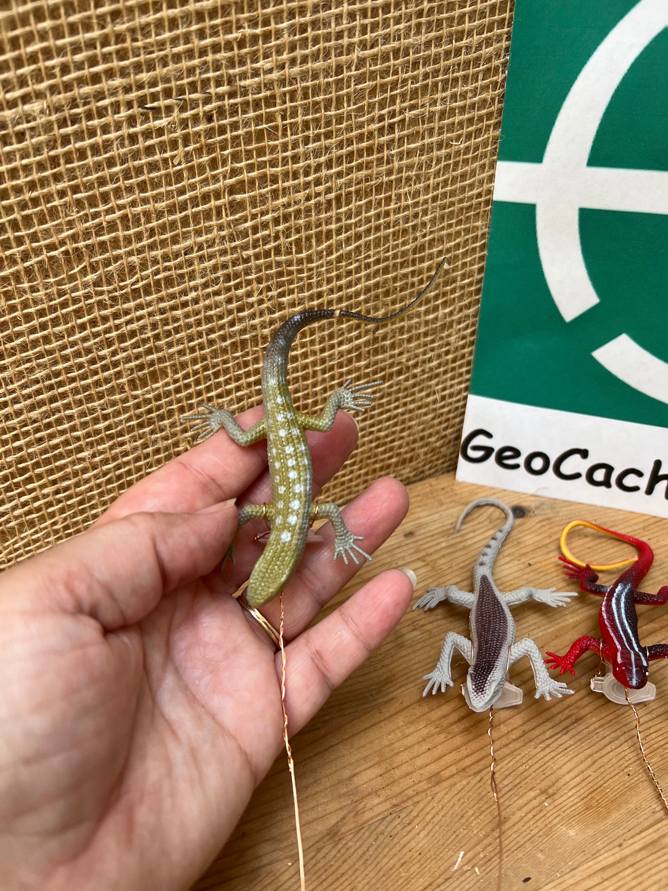 Geocache Real Size Lizard With Micro Cache - Caching Container Hide ...