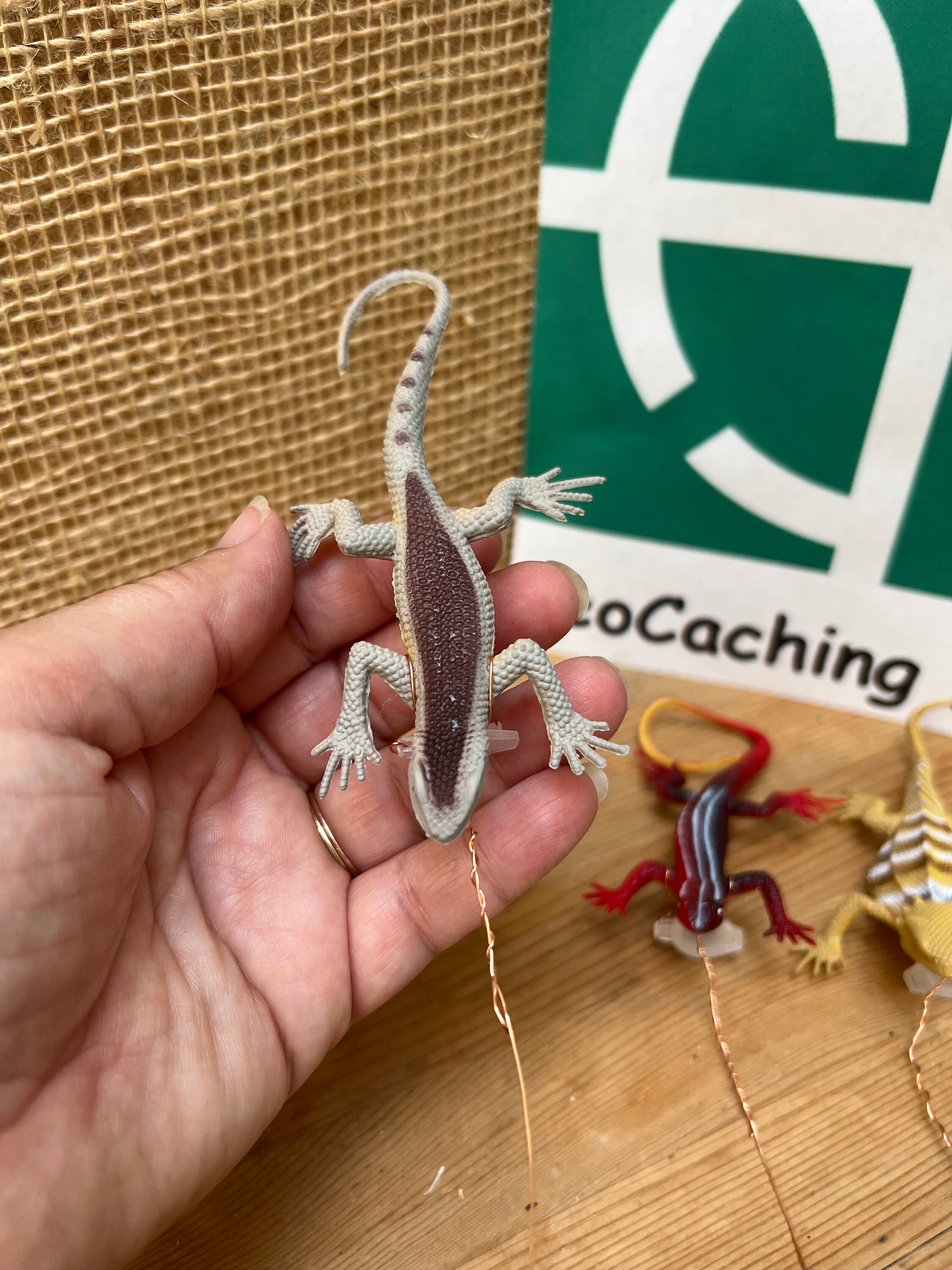 Geocache Real Size Lizard With Micro Cache - Caching Container Hide ...