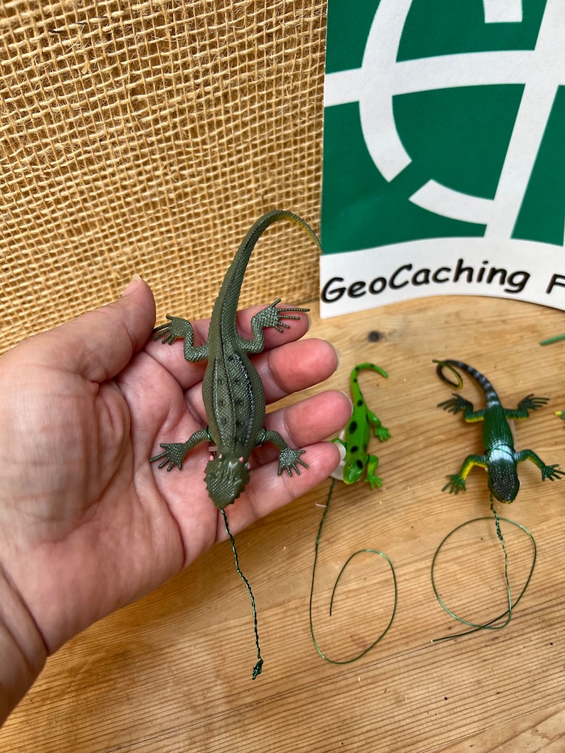 Geocache Lizard Gecko Micro Cache Caching Container Hide & - Etsy