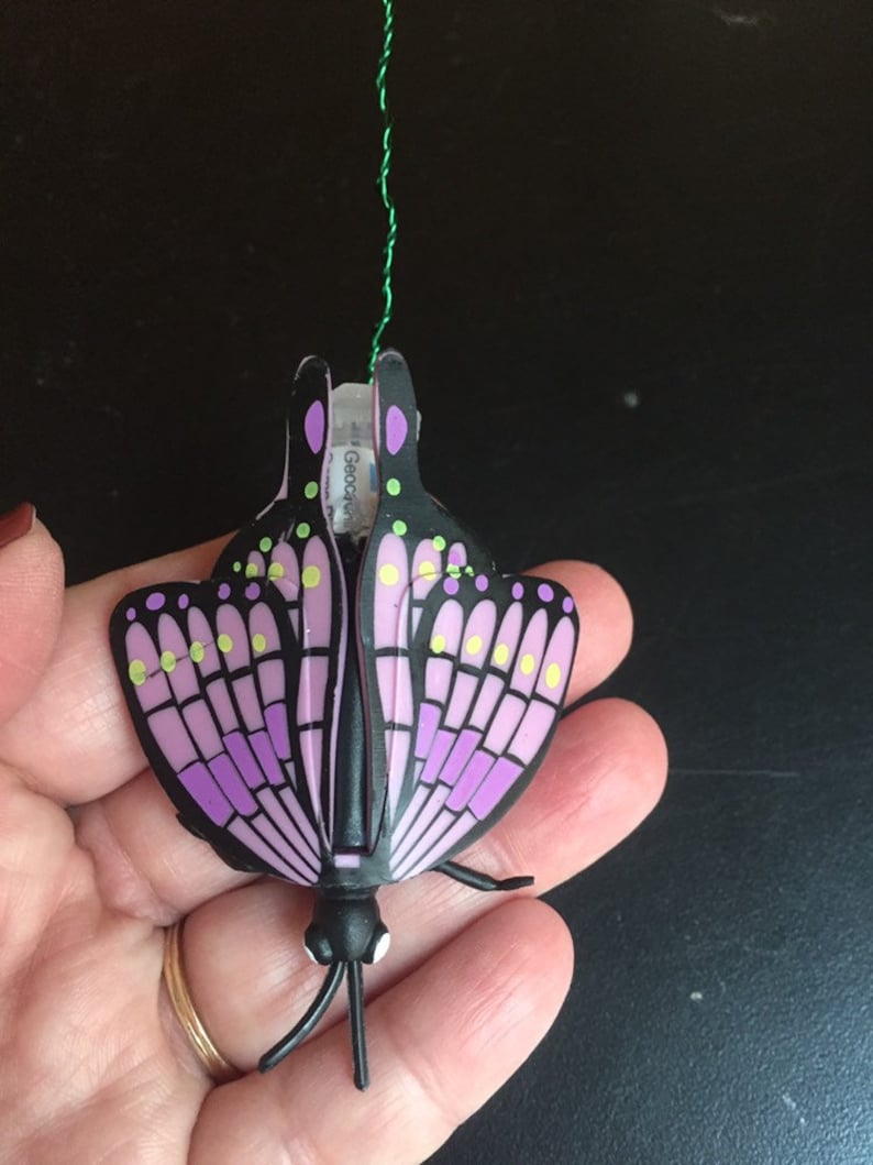 Geocache BUG INSECT: Lady Bug Moth Grasshopper Dragonfly Caching ...