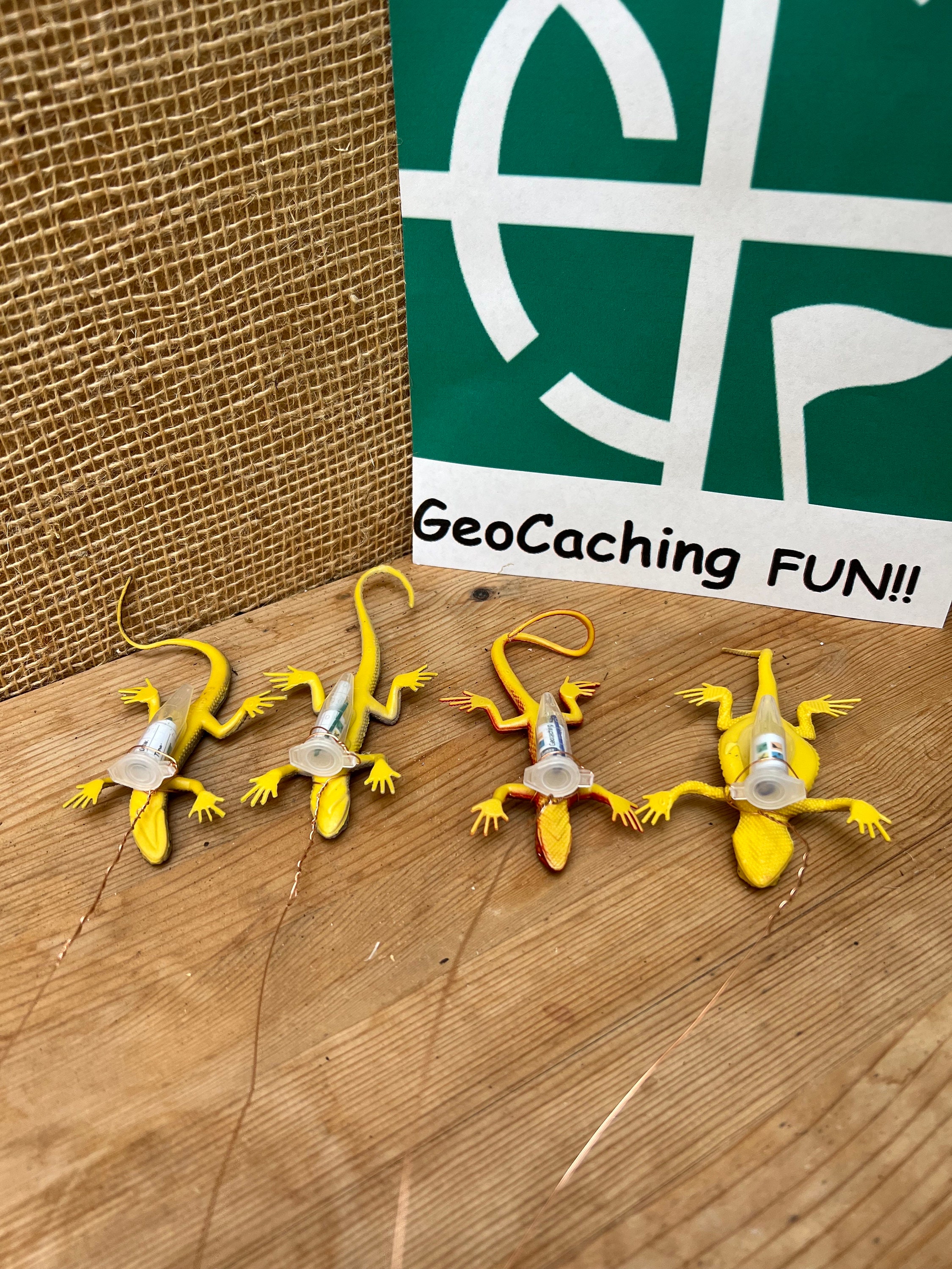 Geocache Real Size Lizard With Micro Cache Caching Container Hide ...