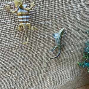 Geocache Real Size Lizard With Micro Cache - Caching Container Hide ...