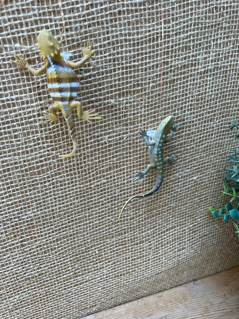 Geocache Real Size Lizard With Micro Cache Caching Container Hide ...