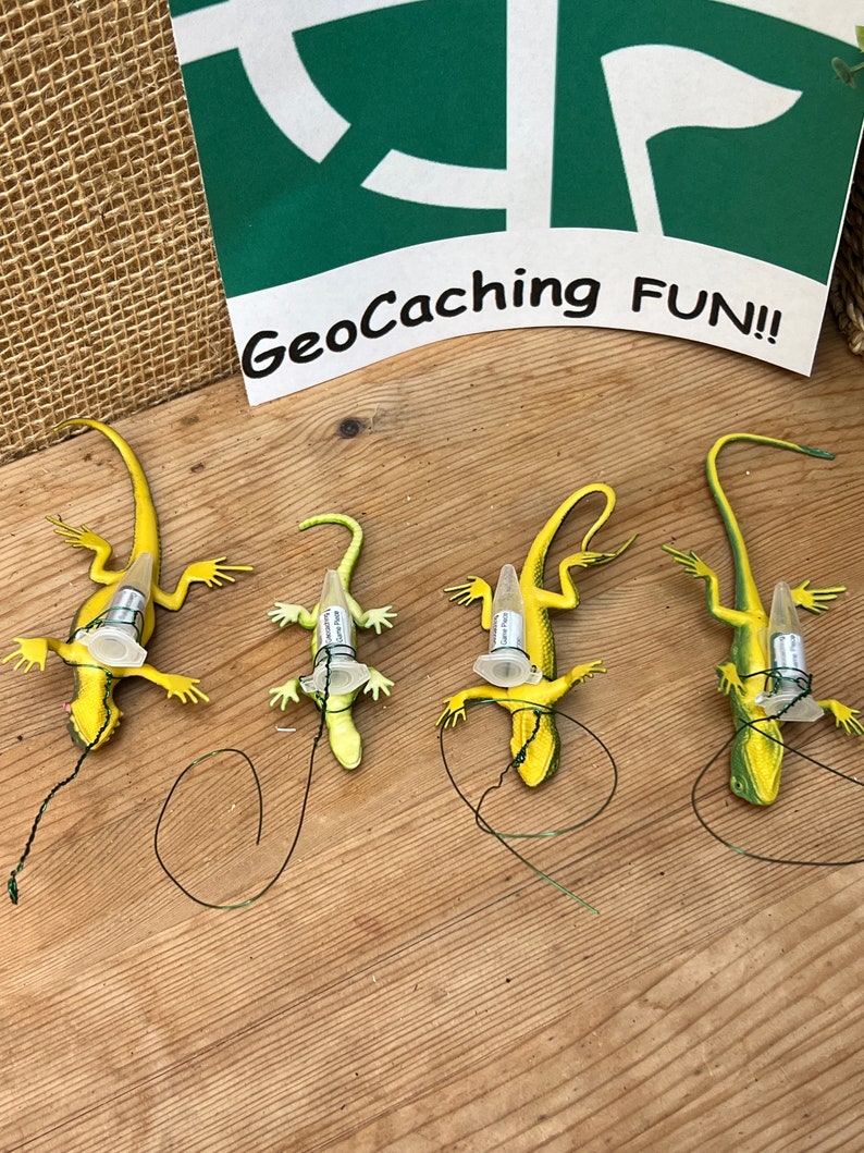Geocache Lizard Gecko Micro Cache Caching Container Hide & - Etsy