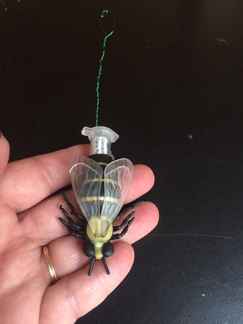 Geocache BUG INSECT: Lady Bug - Moth - Grasshopper - Dragonfly ...
