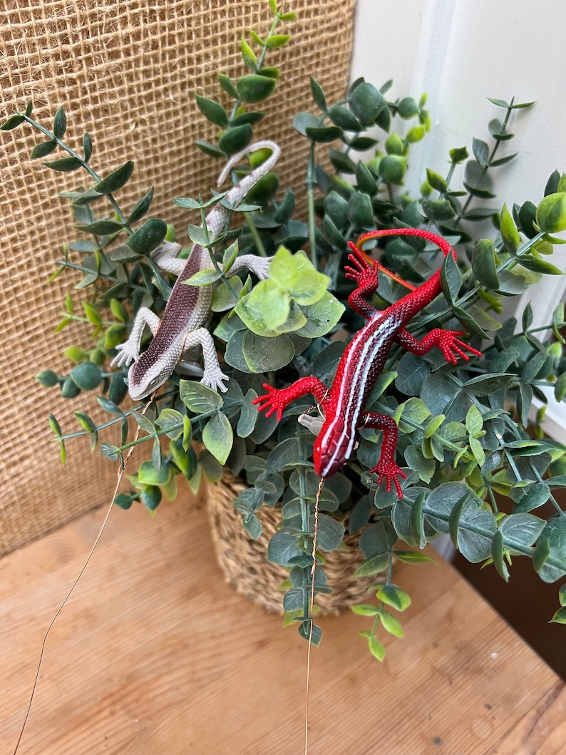 Geocache Real Size Lizard With Micro Cache Caching Container Hide & Seek Cache Camo Cache ...