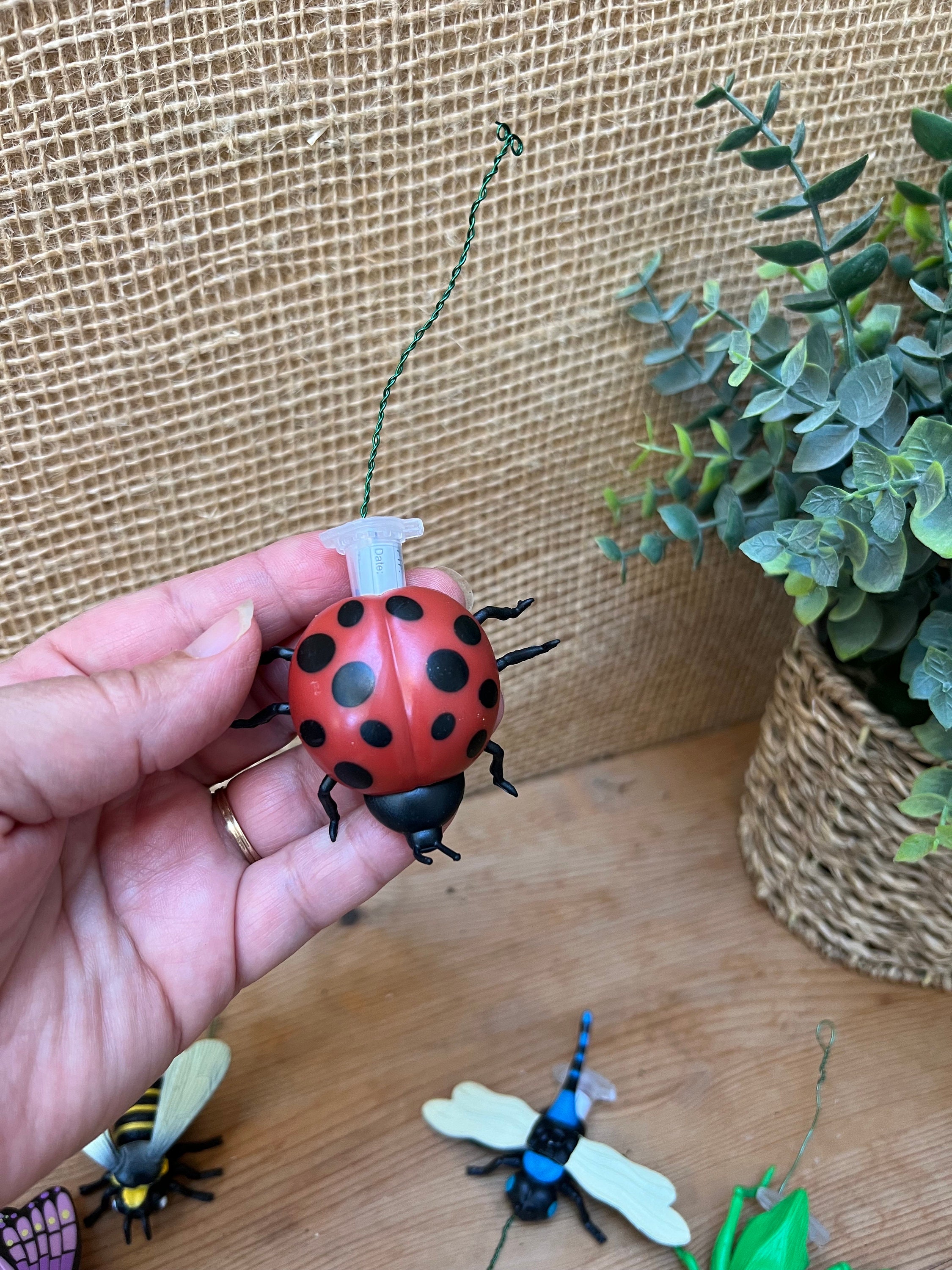 Geocache BUG INSECT - Lady Bug - Caching Container Hide & Seek Cache ...