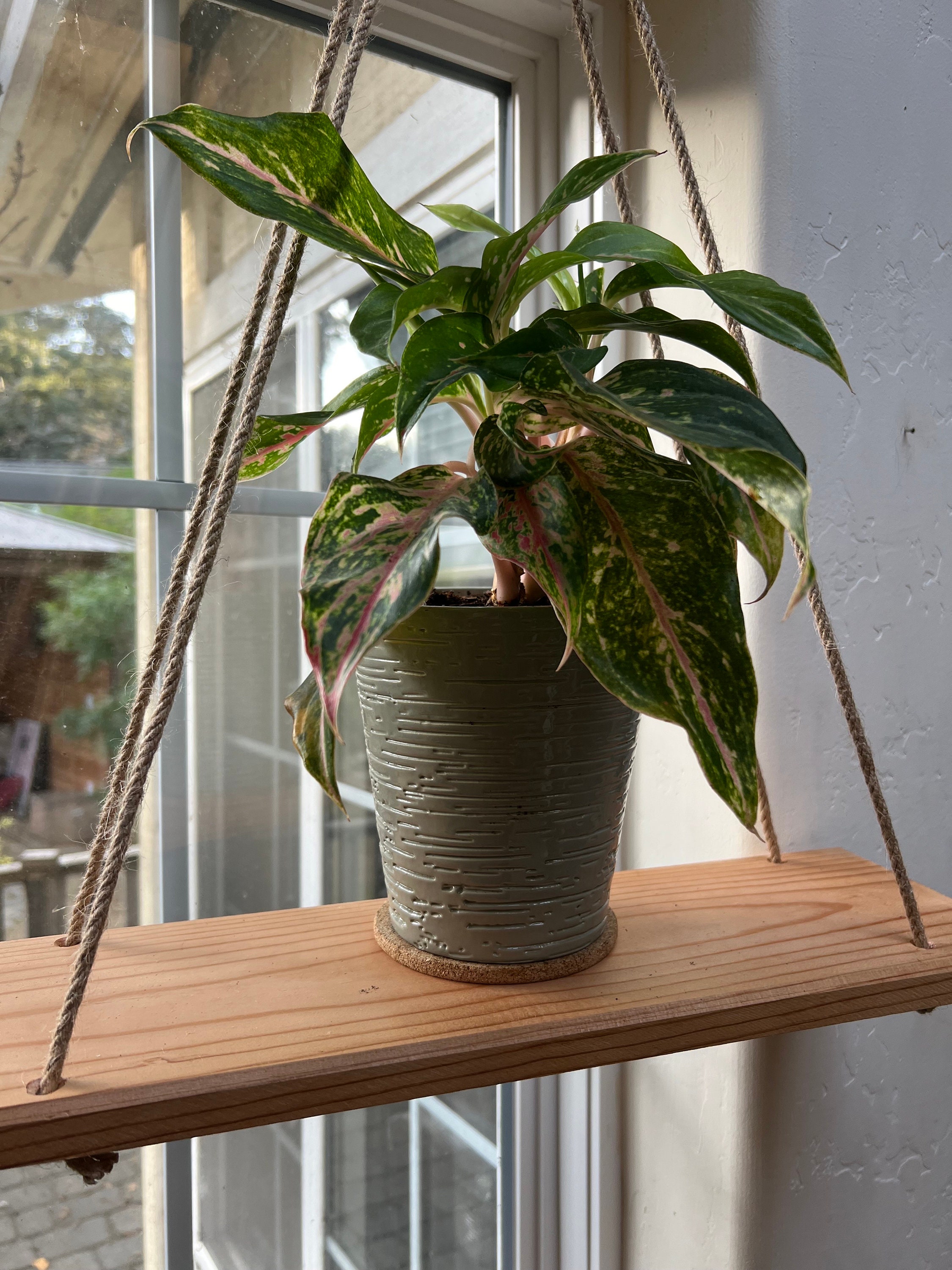 Floating Window Shelf for Air Plants Succulents Handmade Boho Style ...