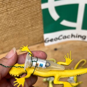 Geocache Lizard Gecko Micro Cache - Caching Container Hide & Seek Cache ...