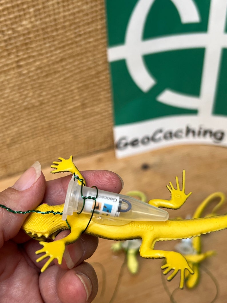 Geocache Lizard Gecko Micro Cache Caching Container Hide & - Etsy