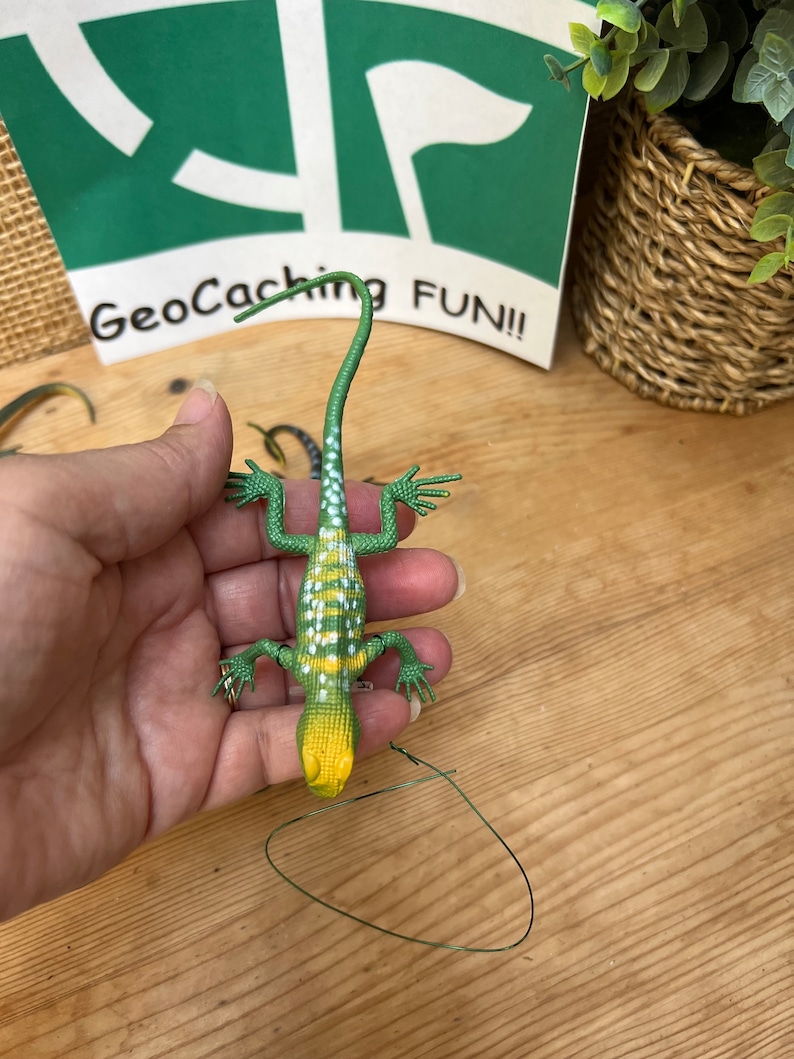 Geocache Lizard Gecko Micro Cache Caching Container Hide & - Etsy